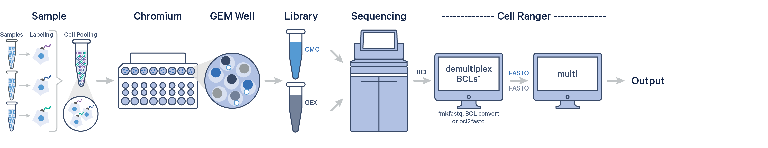 What is Cell Multiplexing? - Official 10x Genomics Support